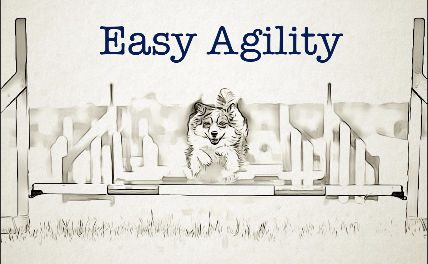 Easy Agility Hub